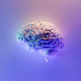 Is 137 a Good IQ? [2024] 易 - Free IQ Tests