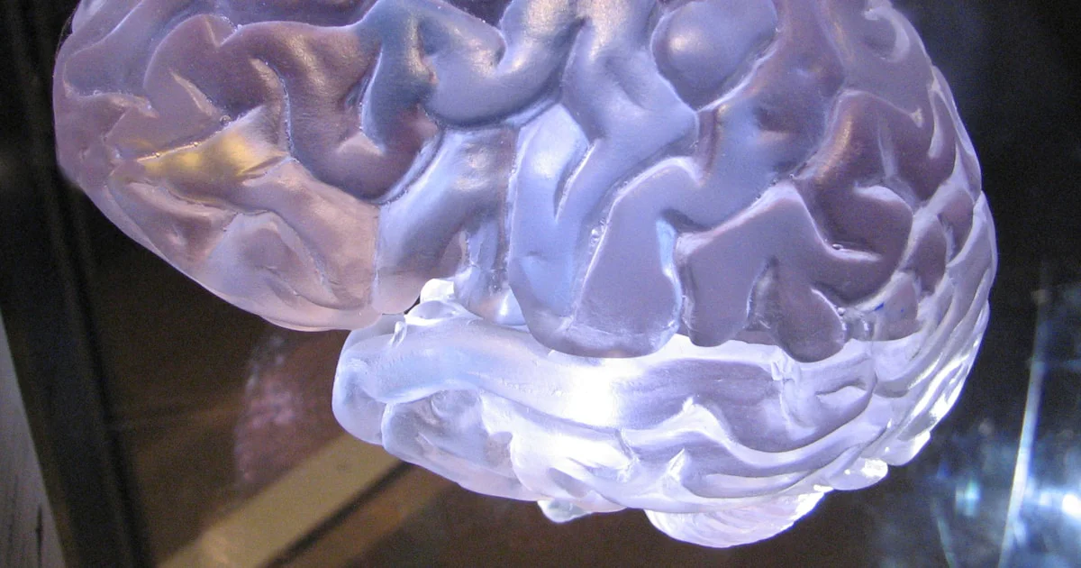 Can IQ Scores Change Over Time? Is 132 Permanent? 🧠 (2026) - Free IQ Tests